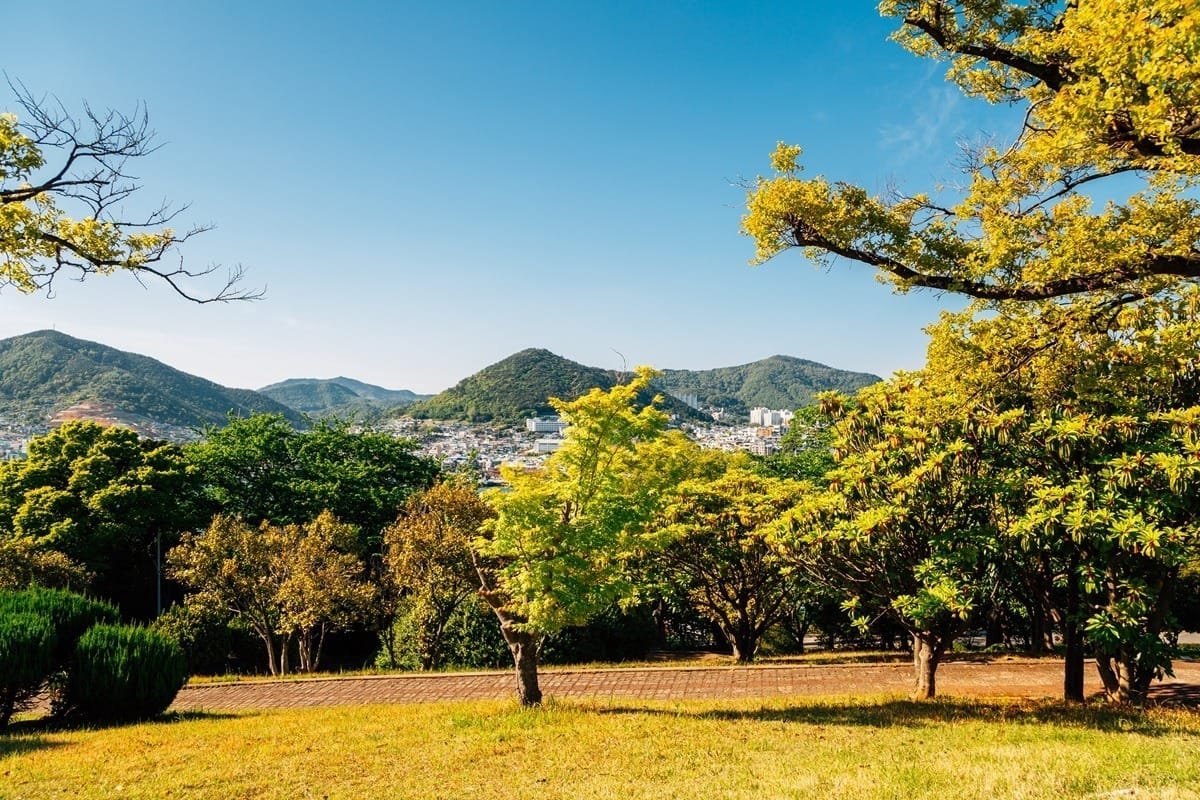 Discover Yeosu-si: A Coastal Gem in South Korea | Asia Vibe Daily